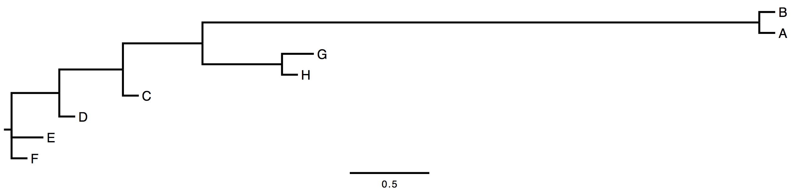 Automatiser le parcours et la manipulation d’arbres phylogénétiques avec le module Bio.Phylo de ...